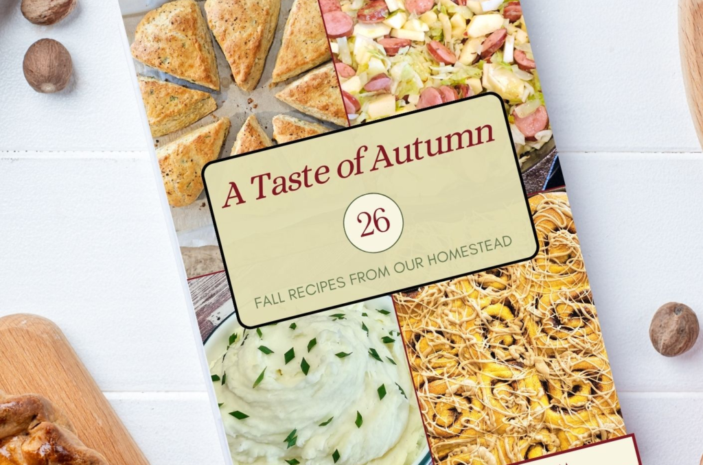 A Taste of Autumn Cookbook - Our Frugal Florida Homestead